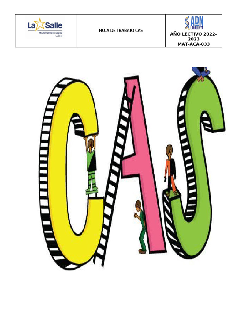 Proyecto Cas Actividad | PDF