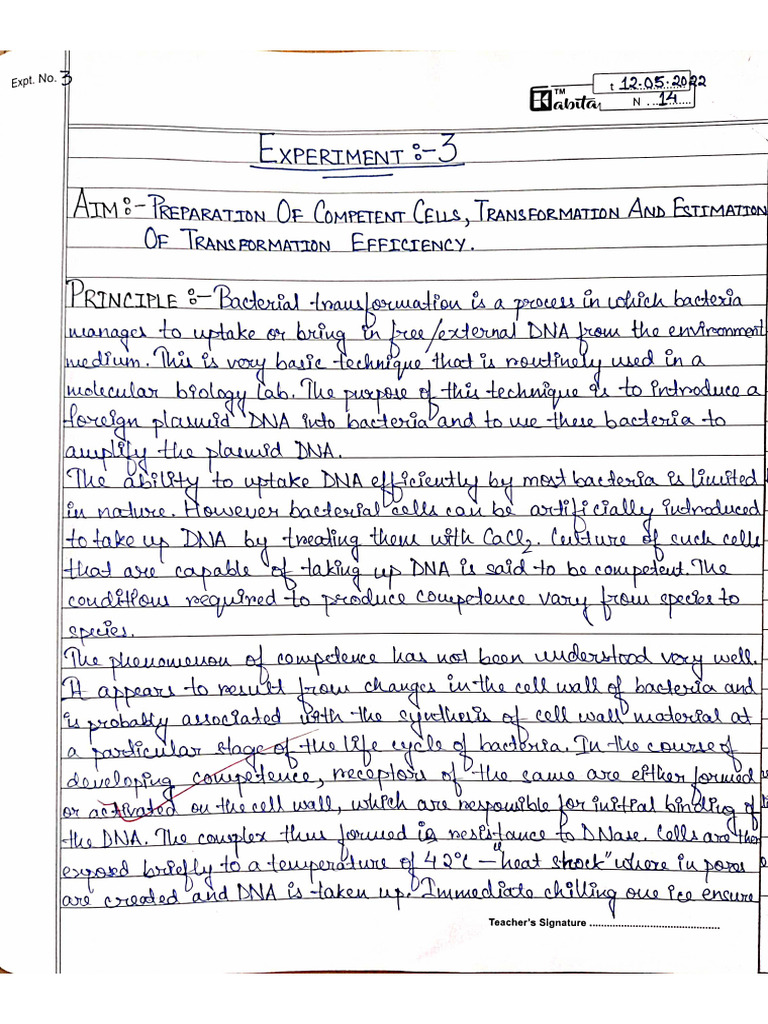 CC13 Transfirmation | PDF