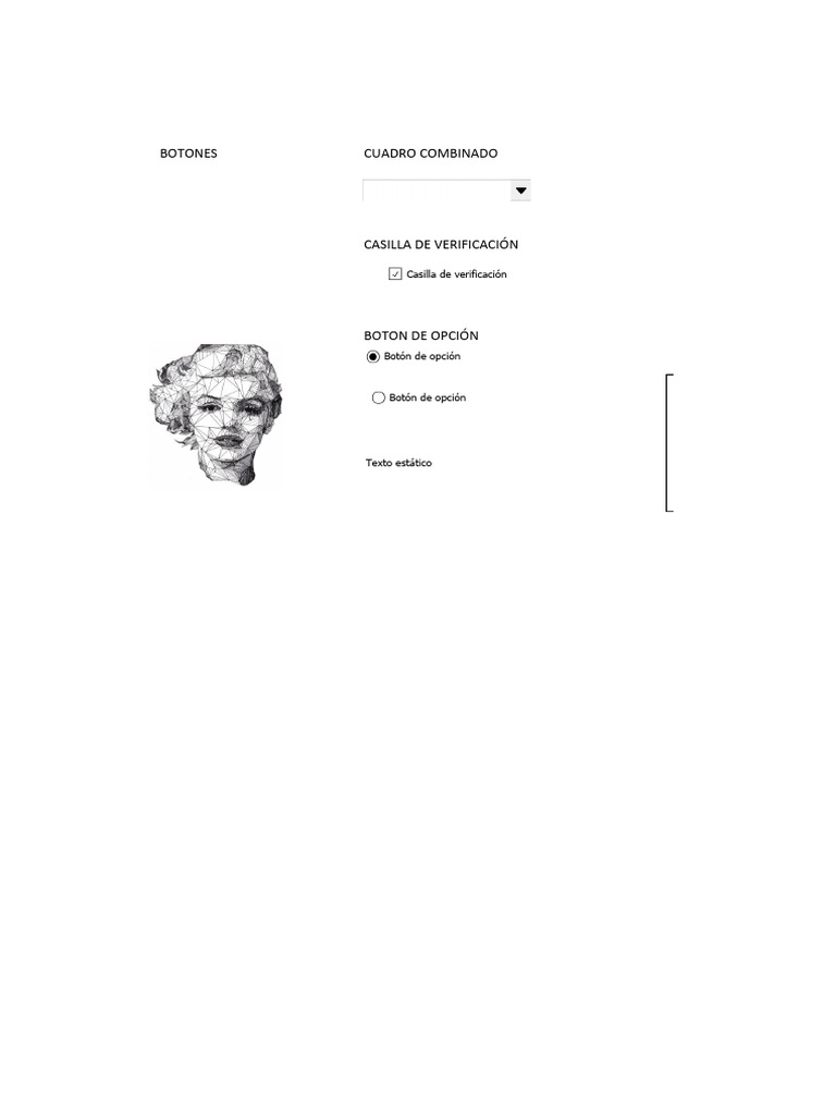 Controles-Formulario 1 | PDF