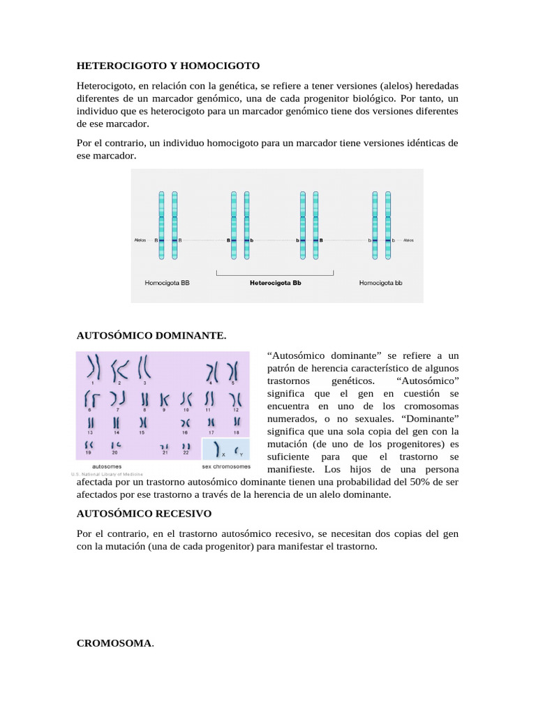 HETEROCIGOTO Y HOMOCIGOTO | PDF | Dominancia (Genética) | Cigosidad
