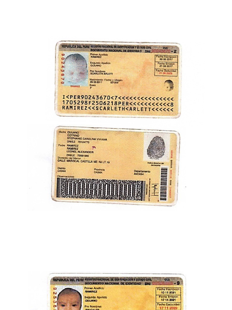 Dni - Scarleth - Ian - Stephanie | PDF