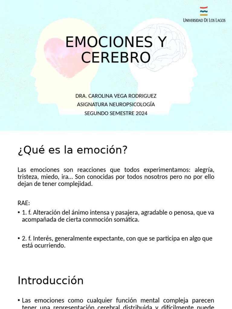 Emociones Y Cerebro Pdf Las Emociones Amígdala