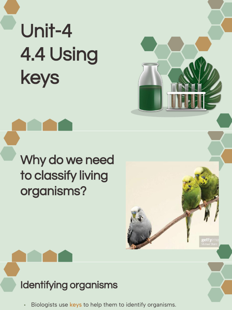 Identifying Organisms with Keys | PDF | Self-Improvement