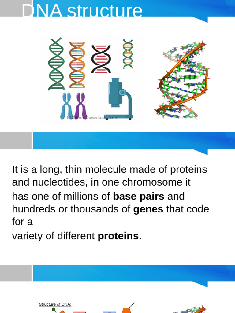 DNA Mutations | PDF | Self-Improvement | Science & Mathematics