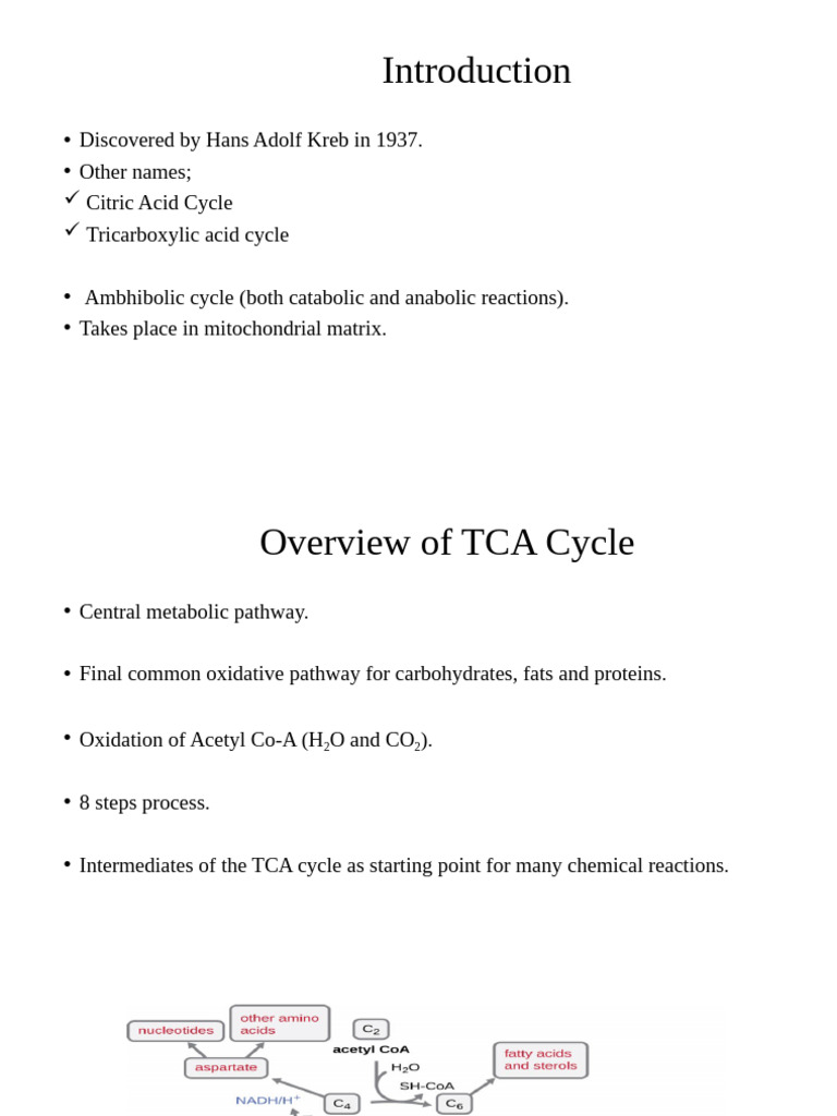 Lecture 3b | PDF | Citric Acid Cycle | Chemistry Lecture 3b | PDF | Citric Acid Cycle | Chemistry