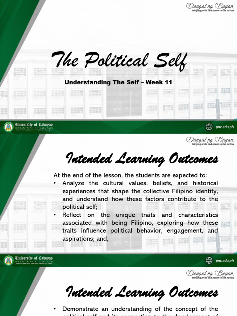 The Political Self in Filipino Identity | PDF | Identity (Social ...