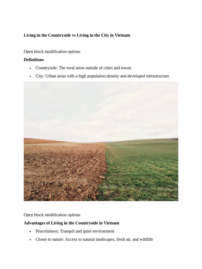 Living in The Countryside Vs Living in The City in Vietnam | PDF | Cost ...
