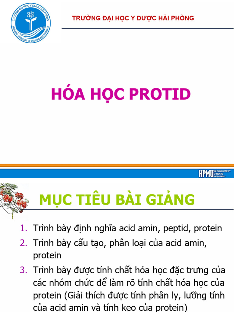 Hóa học Protid 2024 YDHP | PDF