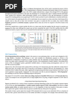 6X DNA Loading Dye Recipe and Use | PDF | Gel Electrophoresis | Agarose ...