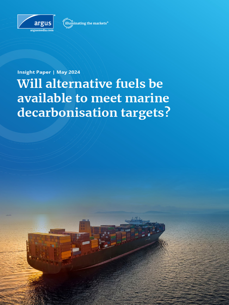 PRO-white-paper-will Alternative Fuels Be Available To Meet Marine Decarbonisation Targets | PDF ...