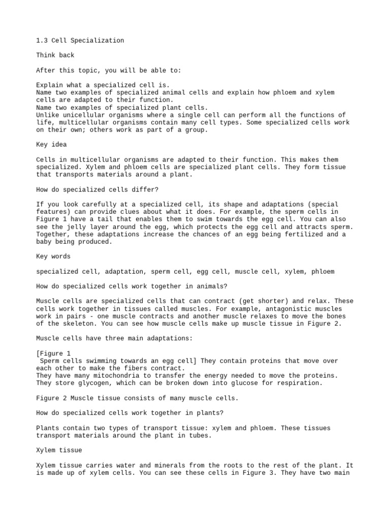 1.3 Cell Specialization | PDF | Tissue (Biology) | Cell (Biology)