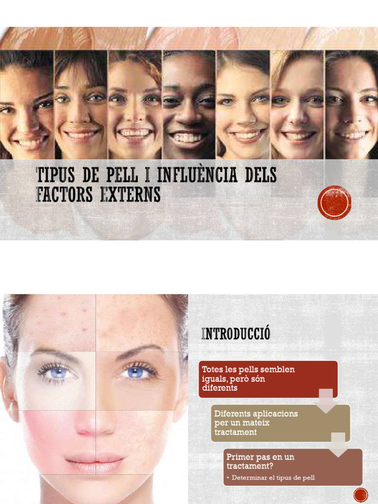 A3 Tipus de Pells | PDF