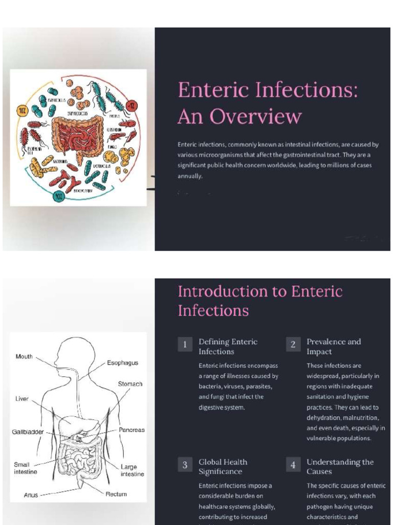 Enteric Infection | PDF