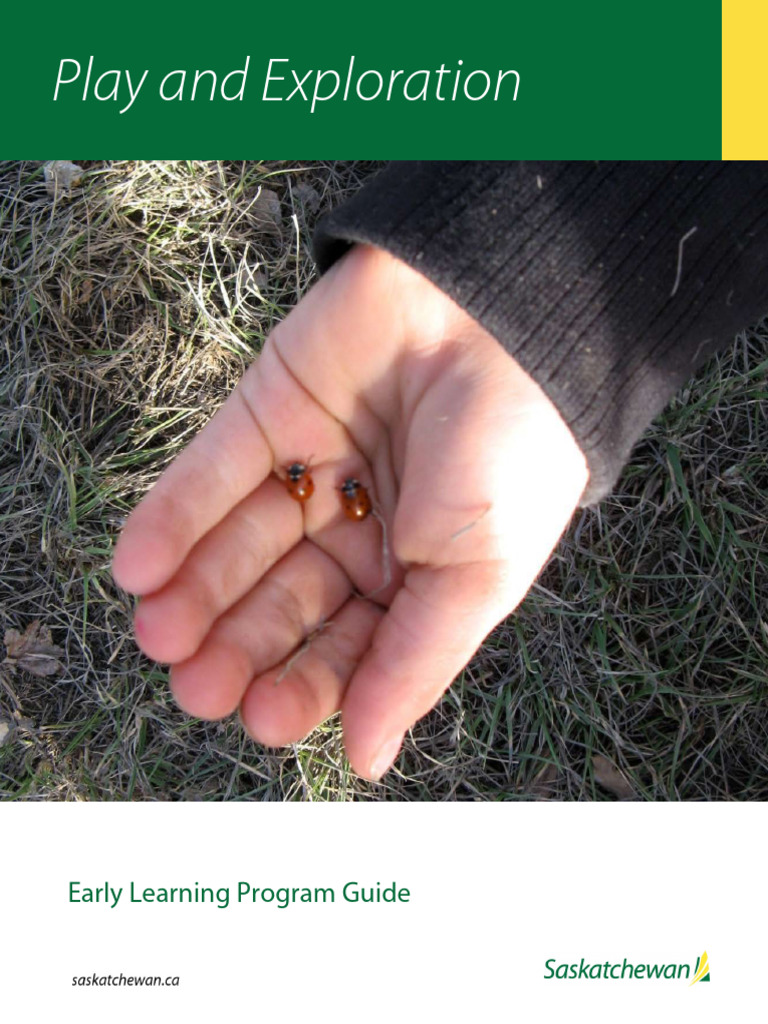 Play and Exploration Early Learning Program Guide - VI Approved | PDF ...