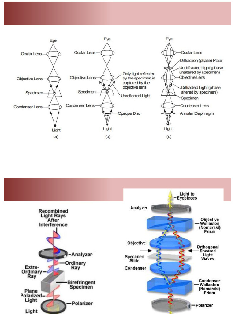 Imaging modes_ray diagrams | PDF