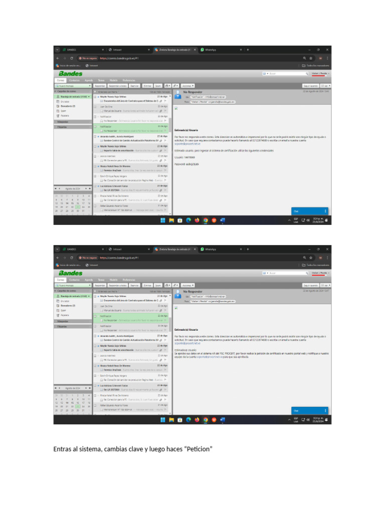 Guis Rapida Procert | PDF