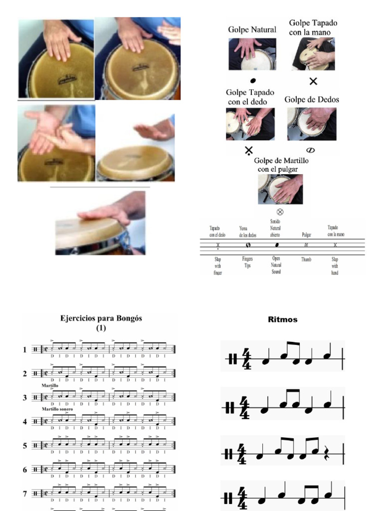 Bongos | PDF
