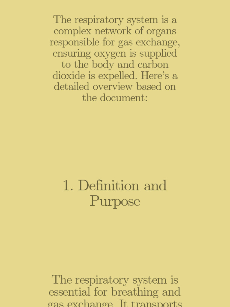 The Respiratory System Is A Complex Network of Organs Responsible For ...