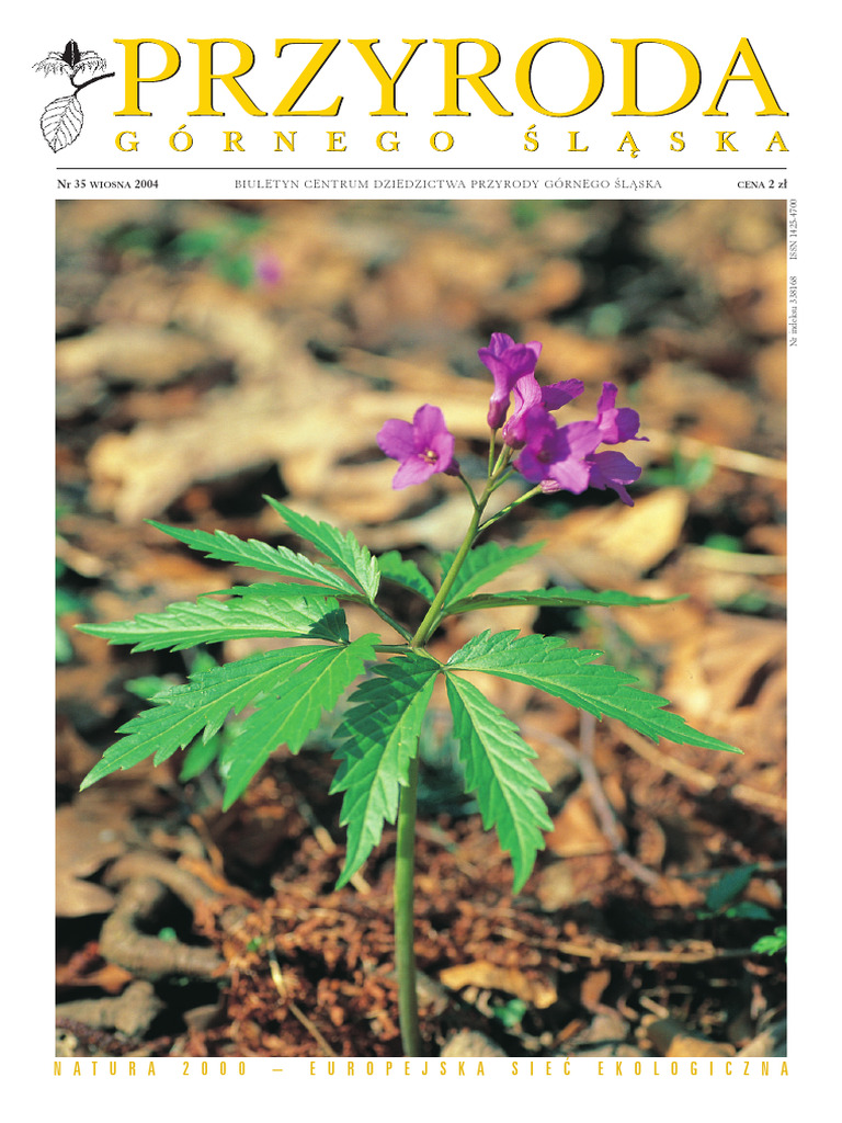 PGS 2004 35.compressed | PDF