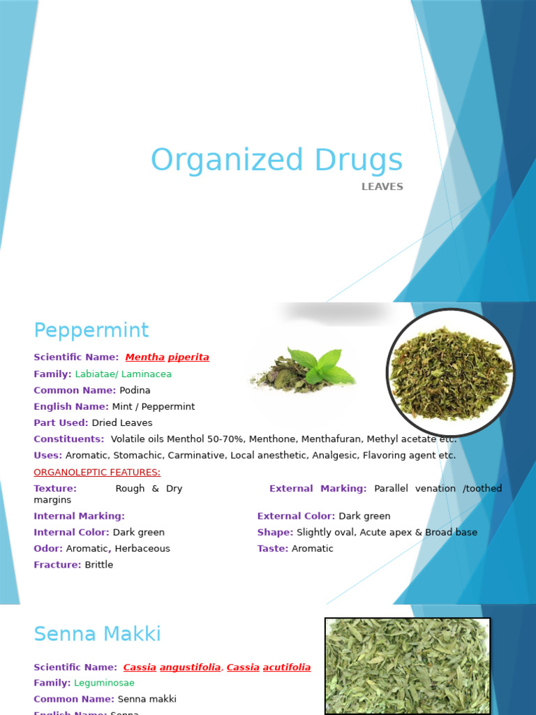 PCOG Lab 2 Leaves | PDF