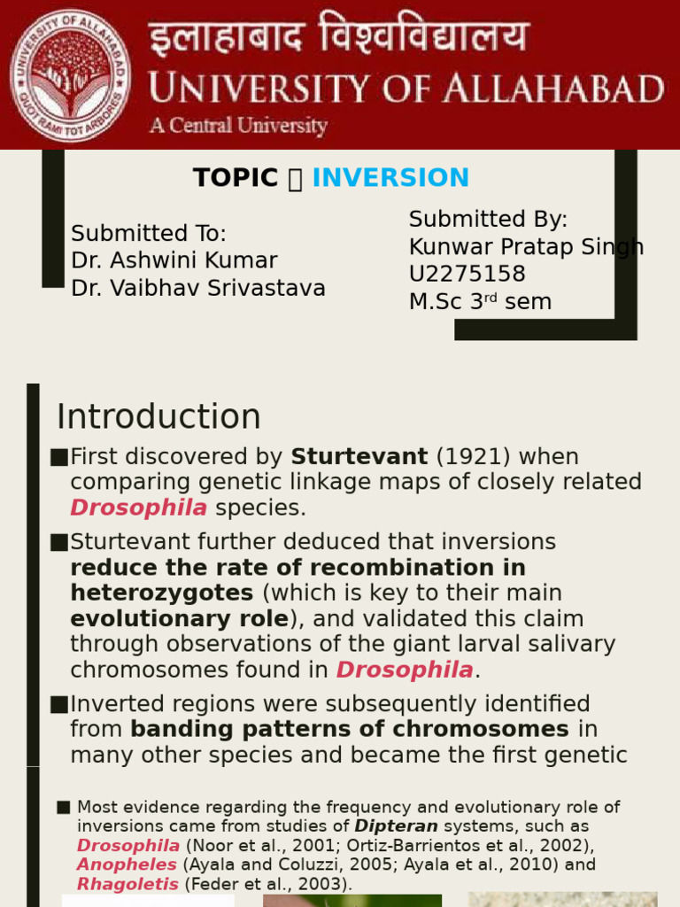 Inversion | PDF | Biology | Cell Nucleus
