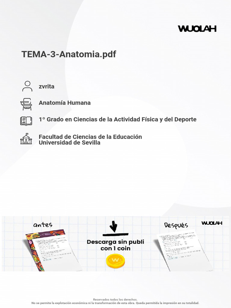 Wuolah Free TEMA 3 Anatomia | PDF | Articulación | Sistema musculoesquelético