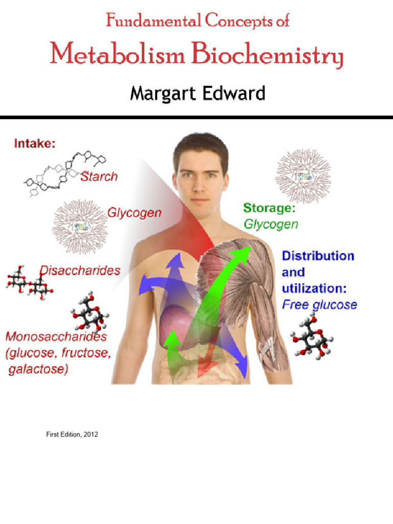 Margart Edward - Fundamental Concepts of Metabolism Biochemistry-English Press (2012) | PDF ...