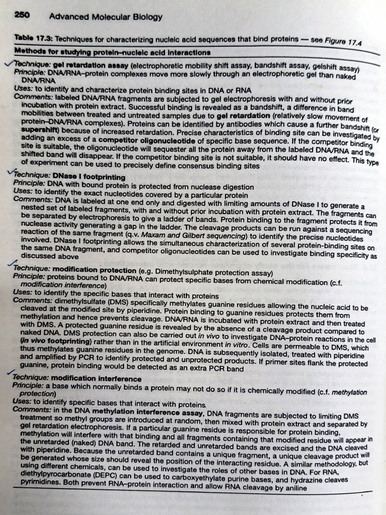 Protein Nucleic Acid Interactions | PDF | Gel Electrophoresis | Dna