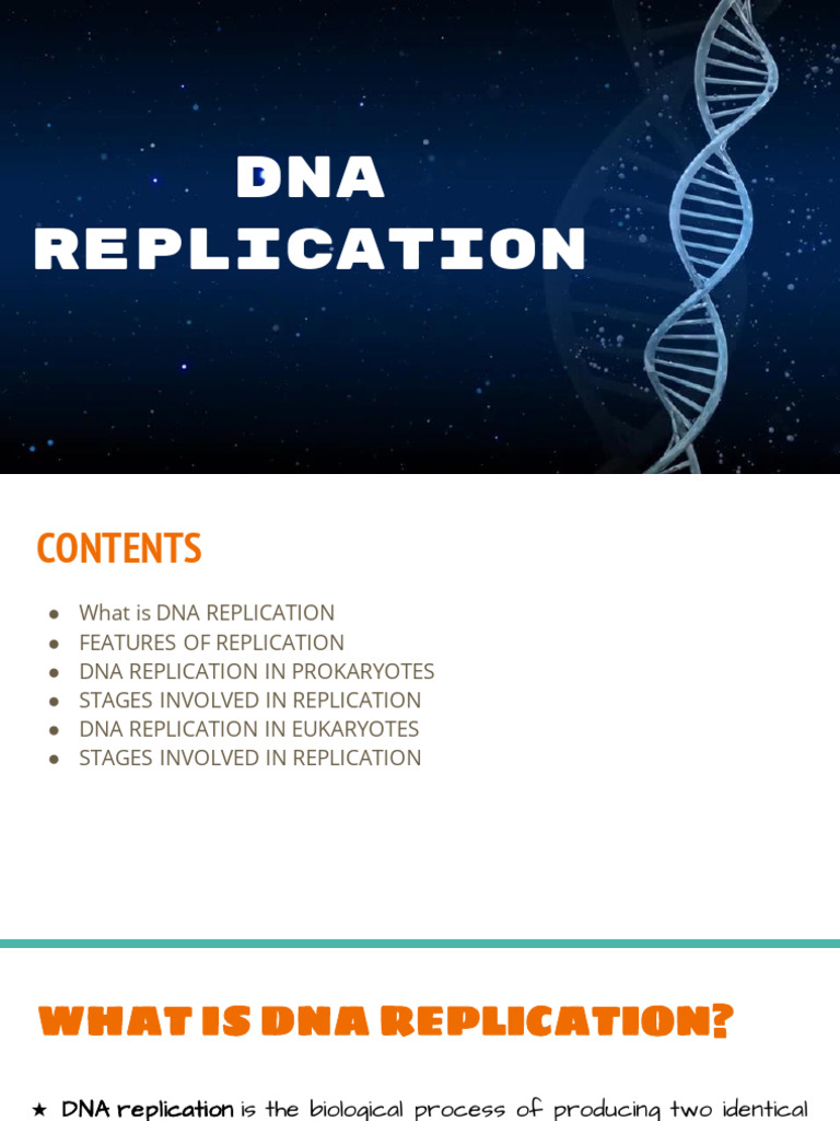 Dna Replication Pdf Dna Replication Primer Molecular Biology
