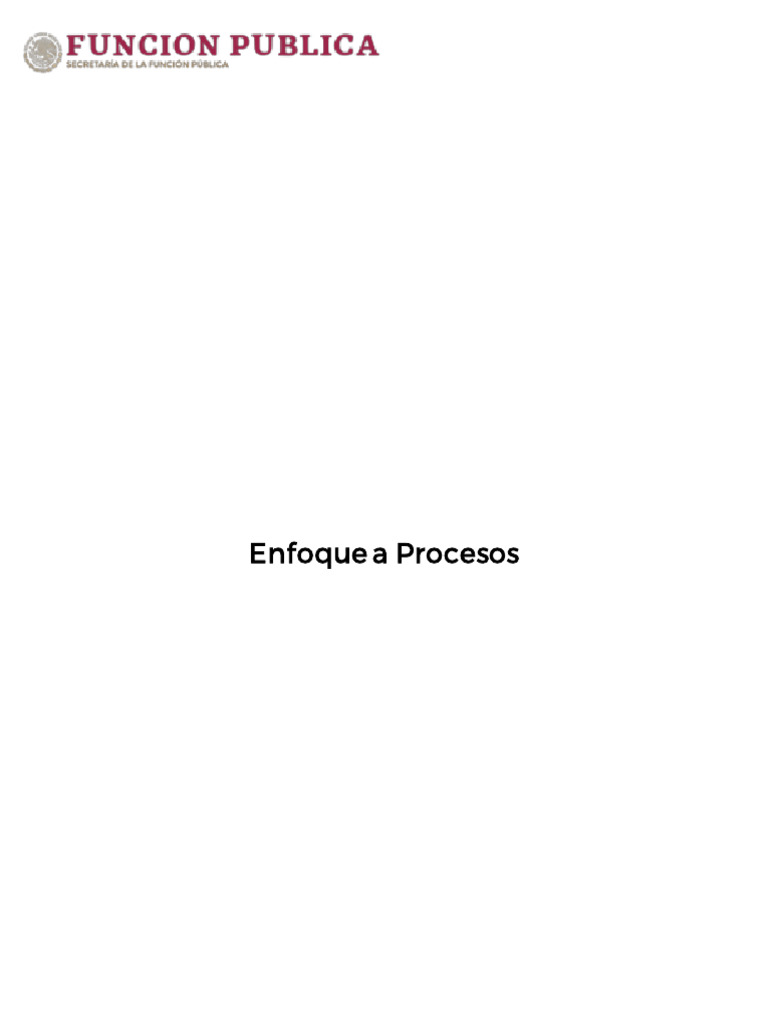 MANUAL Enfoque A Procesos 2024 | PDF | Análisis FODA | Planificación