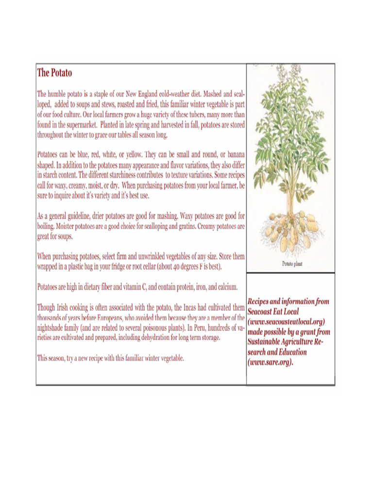 Potatoes Recipe | PDF
