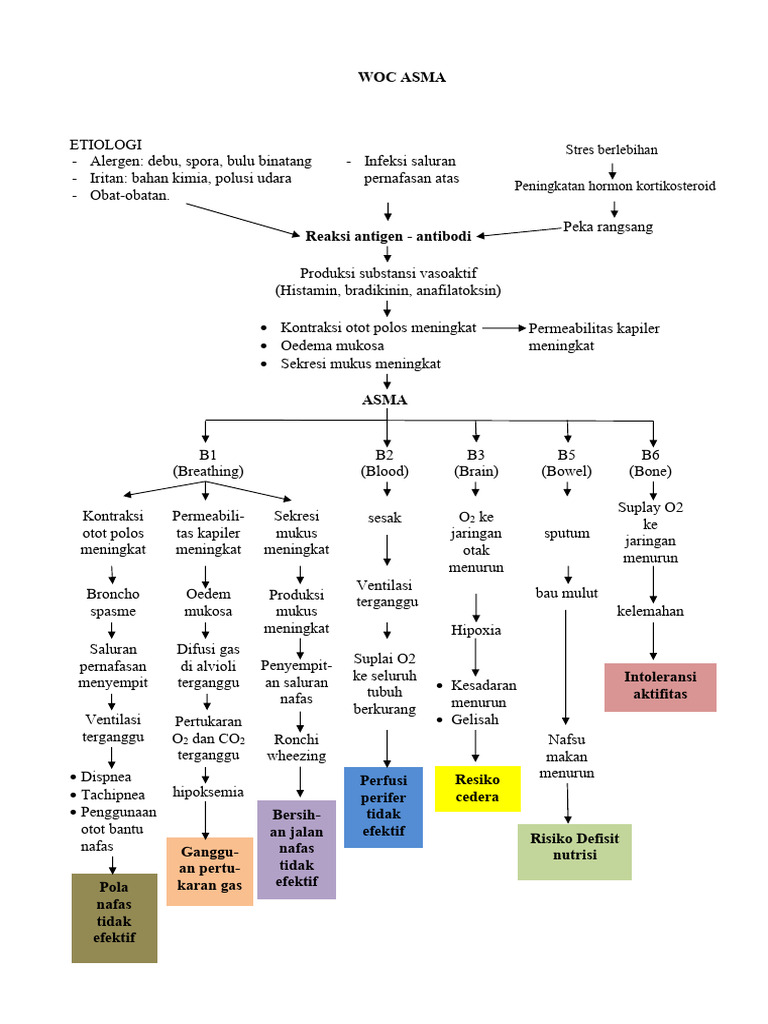 Woc Pathway Asma | PDF
