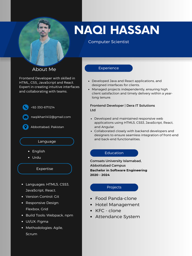 Developer Portfolio: Naqi Hassan | PDF