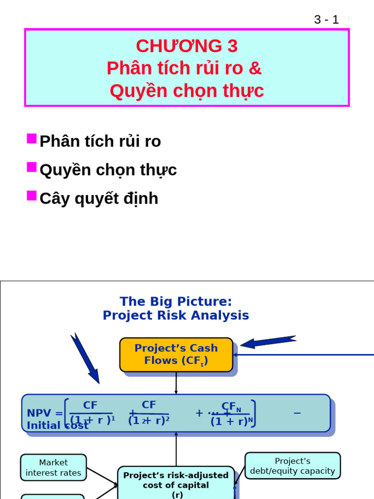 Chapter 3 - Risk Analysis & Real Options | PDF