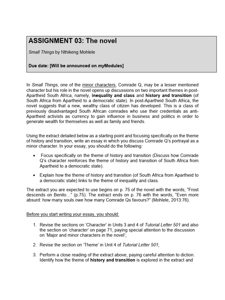 Assignment 3 - Small Things Novel | PDF | Essays | South Africa