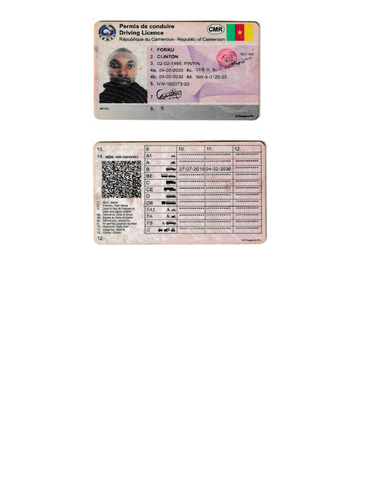 Driver Licence | PDF