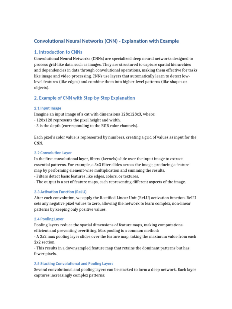 CNN_with_Example_Explanation | PDF | Computational Neuroscience | Applied Mathematics