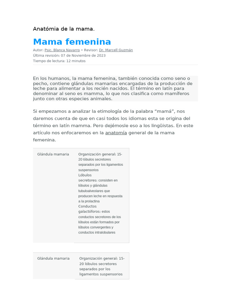 Anatomía de la Mama Femenina | PDF | Pecho | Sistema linfático