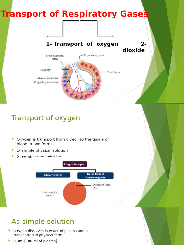 Presentation (Shubham Tripathi) | PDF | Blood | Red Blood Cell