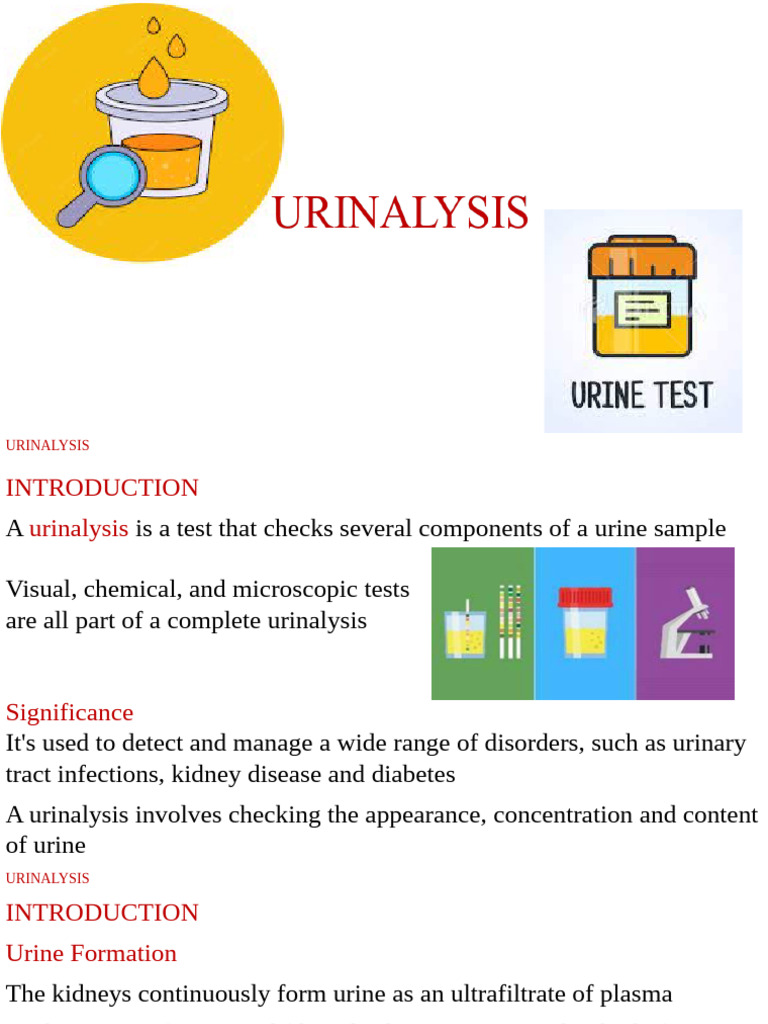 Urinalysis | PDF | Urine | Urinary System