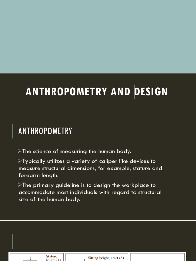 6 Anthropometry and Design | PDF | Chair | Percentile