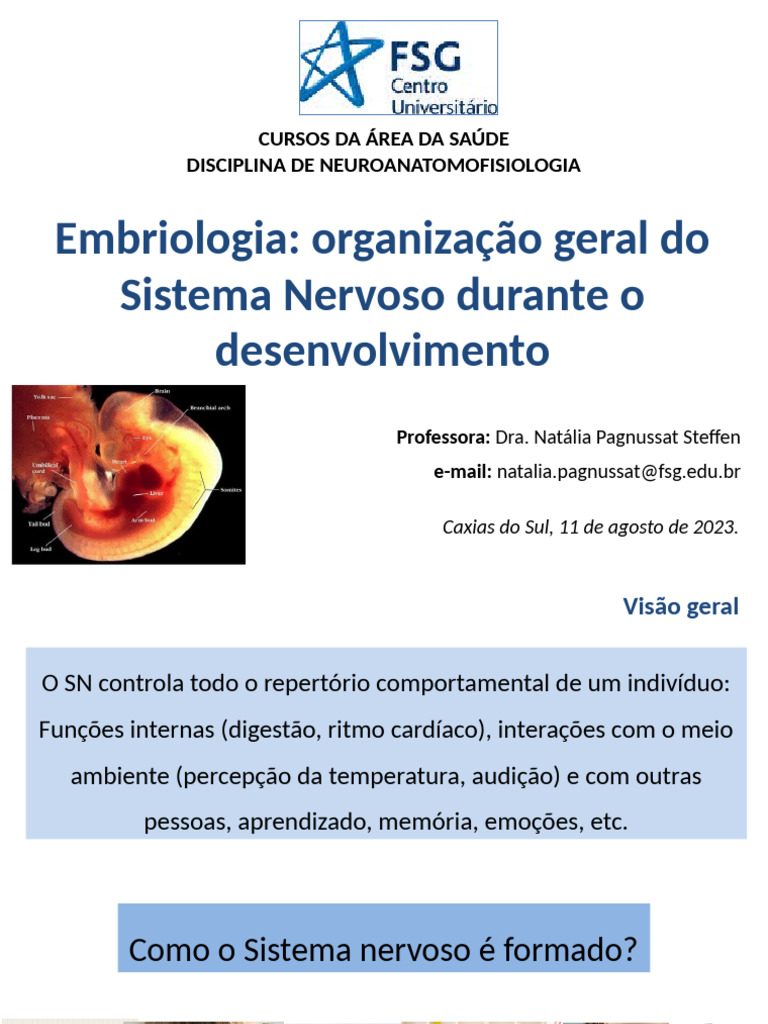 Aula 2 - Embriologia - Organização Geral Do Sistema Nervoso Durante o ...