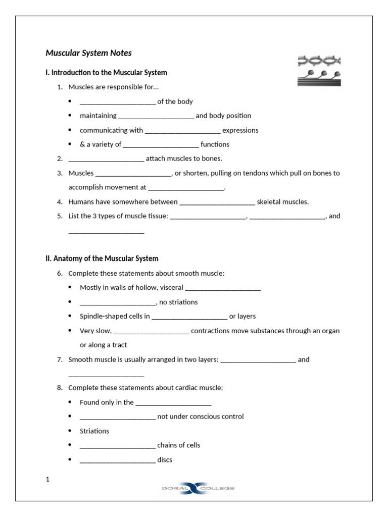Muscular System Overview & Anatomy | PDF | Muscle Contraction | Muscle
