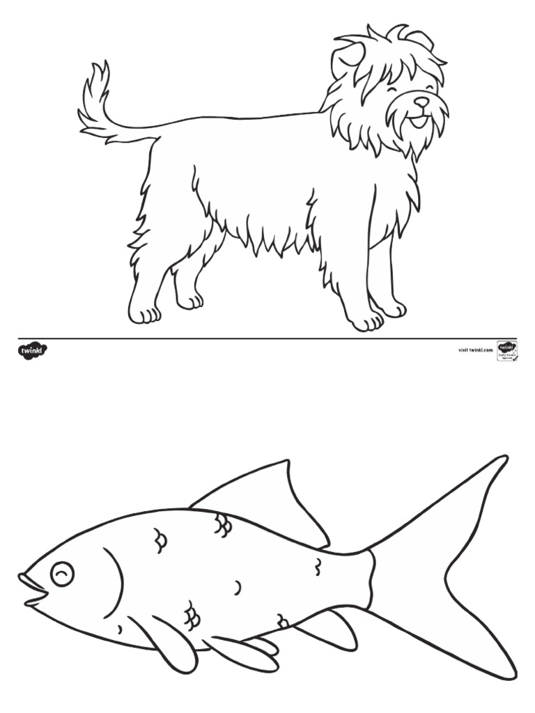 Animale de Colorat | PDF