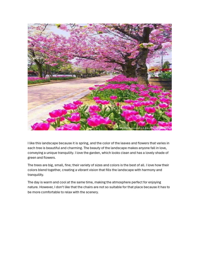 English Does Work - Level 2 PATRICIA MANRIQUE B | PDF