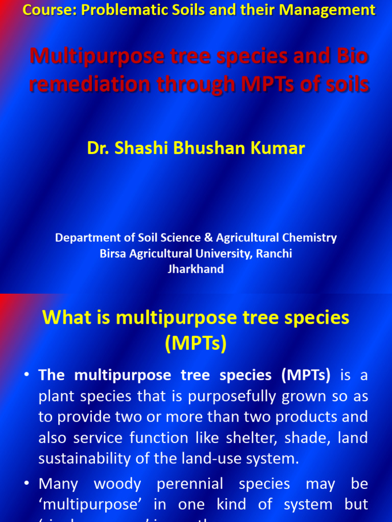 Multipurpose Tree Species and Bio Remediation Through MPTs of Soil | PDF | Trees | Soil