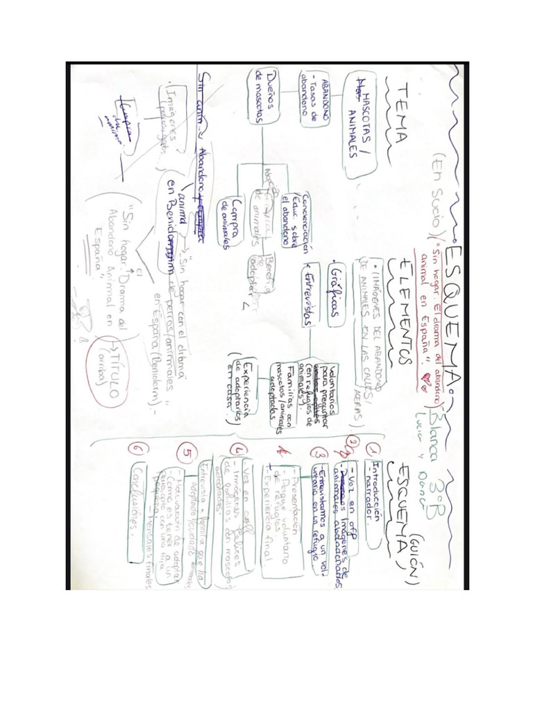 Esquema Reportaje Abandono de Animales | PDF