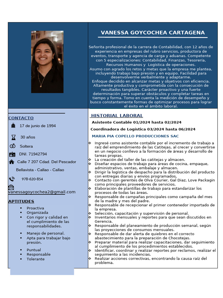 CV VanessaGoycochea | PDF | Logística | Contabilidad