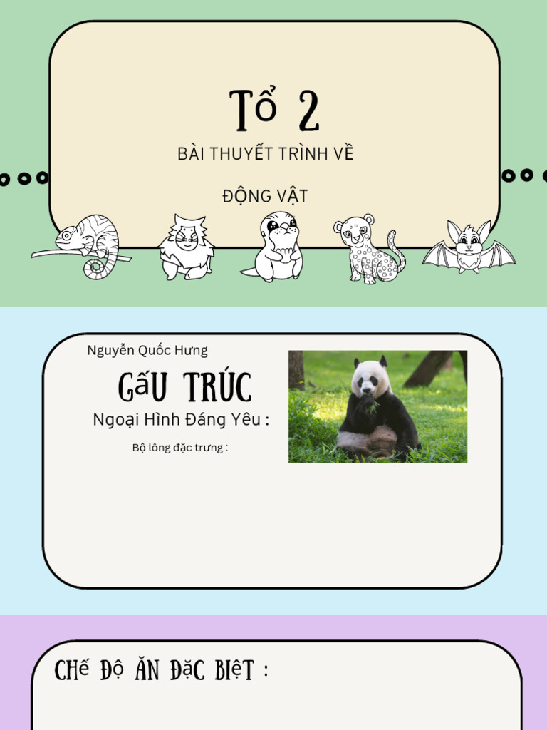 My Animal Report Basic Information Presentation Pastel Illustrated | PDF