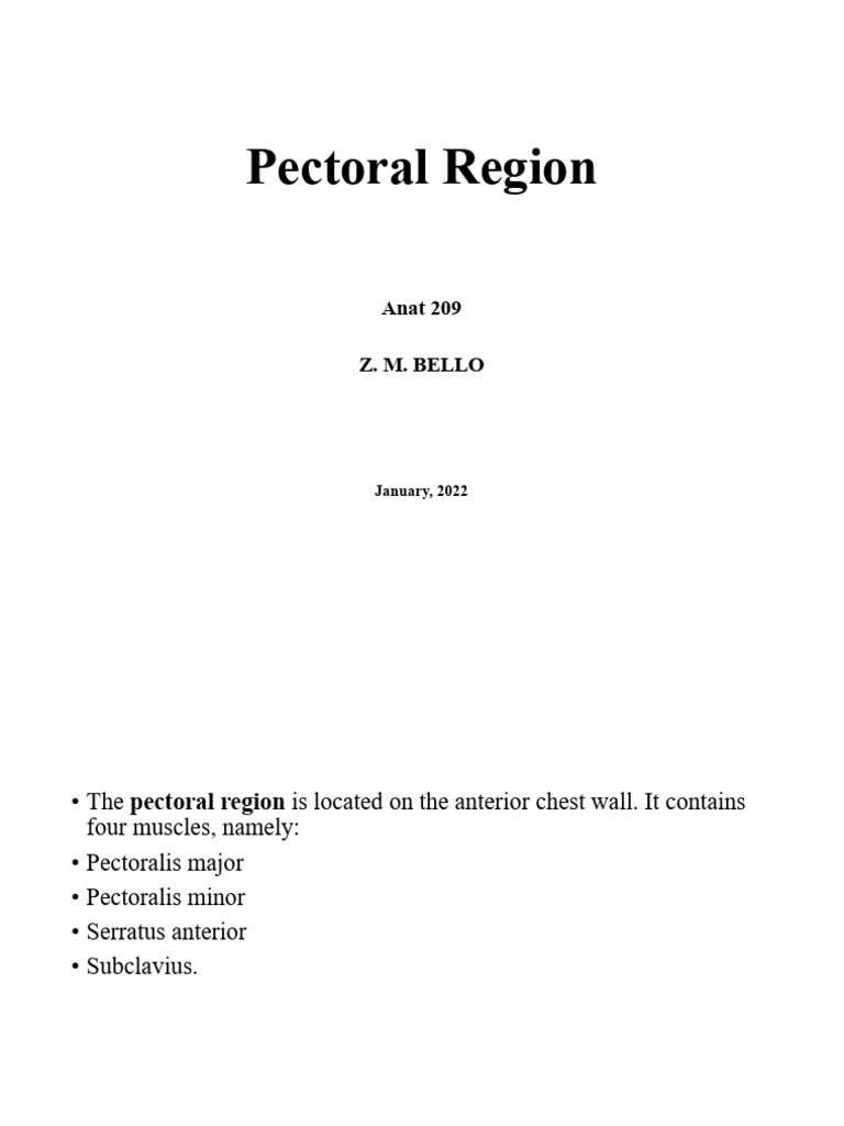 Pectoral Region Anat 209 | PDF | Breast | Thorax